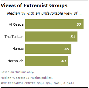 Muslim Publics Share Concerns about Extremist Groups | Pew Research Center