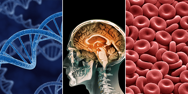 Acknowledgments | Pew Research Center