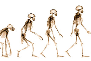 Evolutionary Theory Of Government
