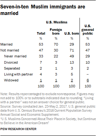 Demographic portrait of Muslim Americans | Pew Research Center