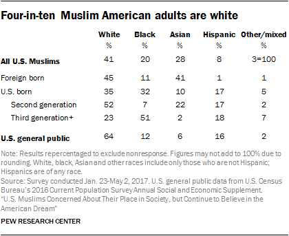 Demographic portrait of Muslim Americans | Pew Research Center