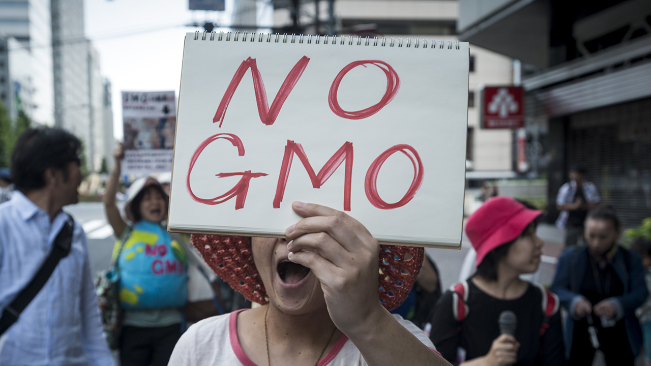 On genetically modified foods, widespread skepticism in 20 publics ...