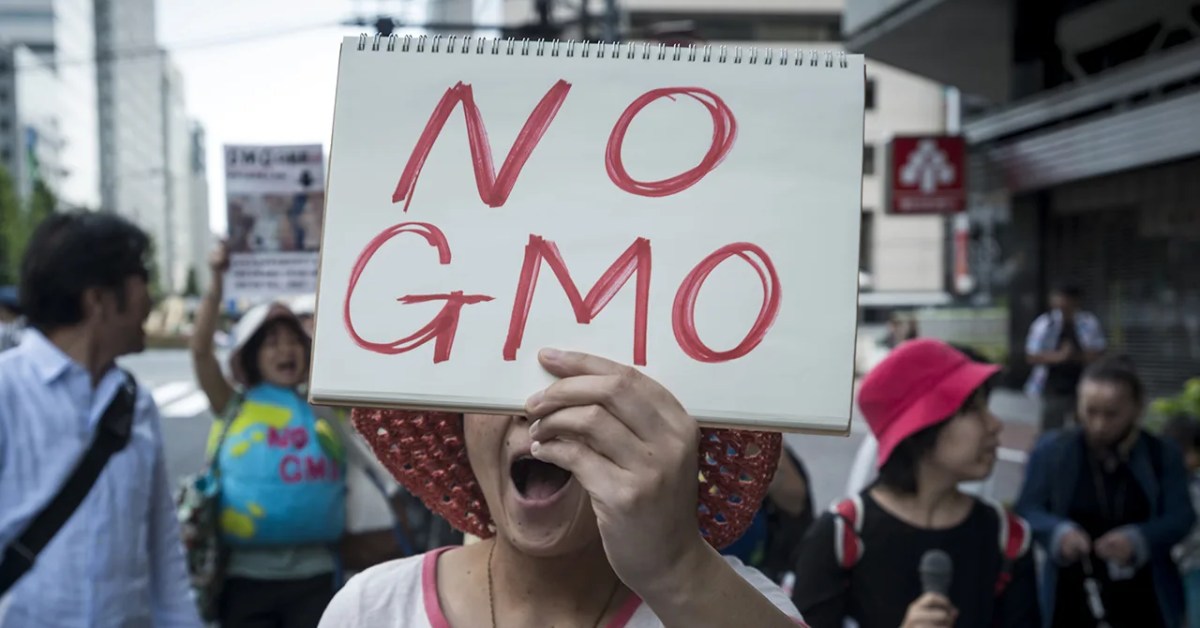On genetically modified foods, widespread skepticism in 20 publics ...