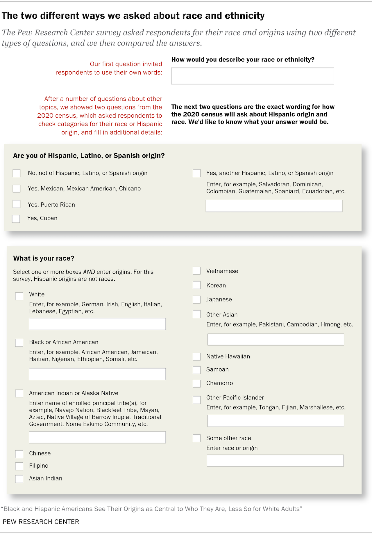 Black and Hispanic Americans See Their Origins as Central to Who They ...