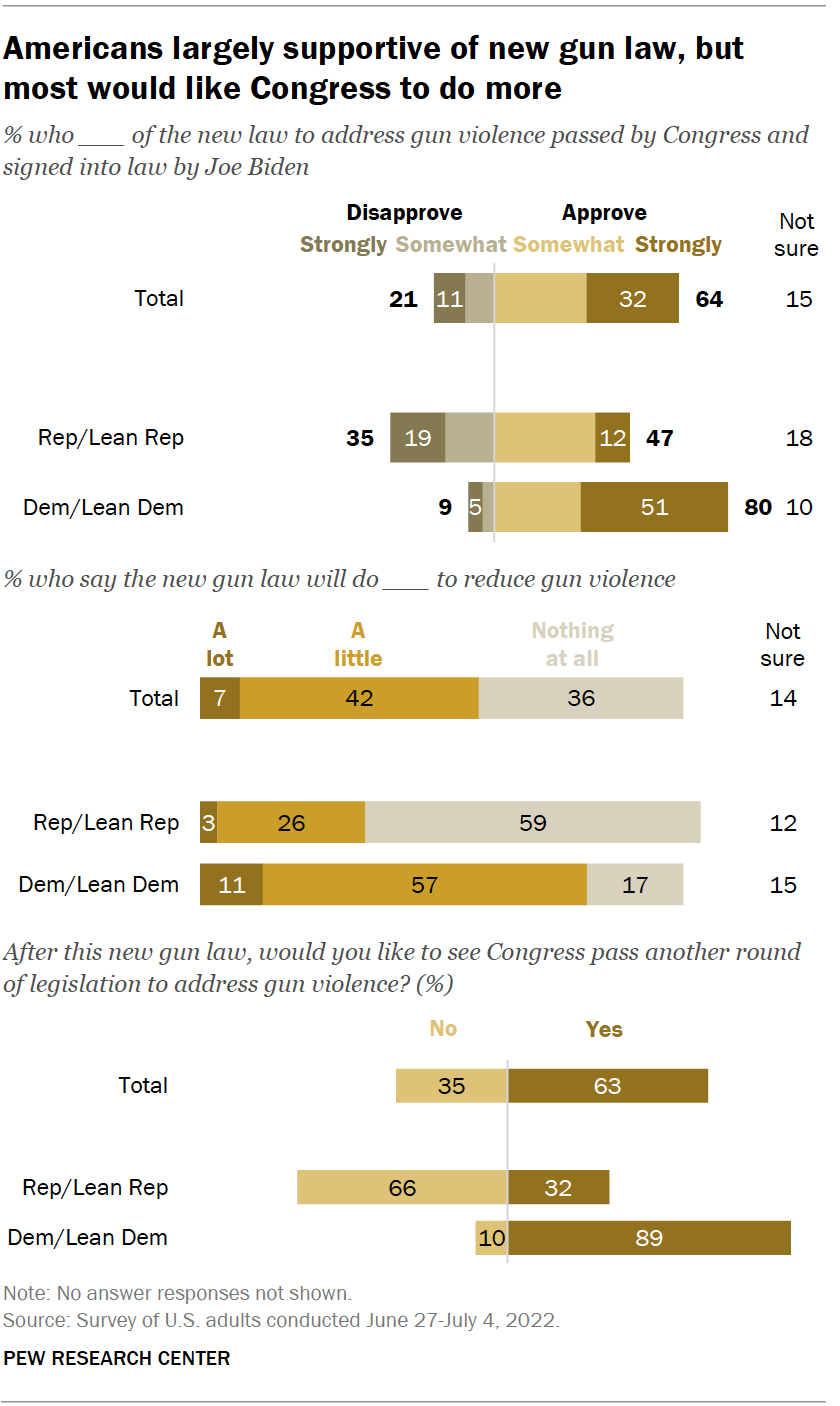 Americans Approve of New Gun Law but Few Say It Will Reduce Gun ...