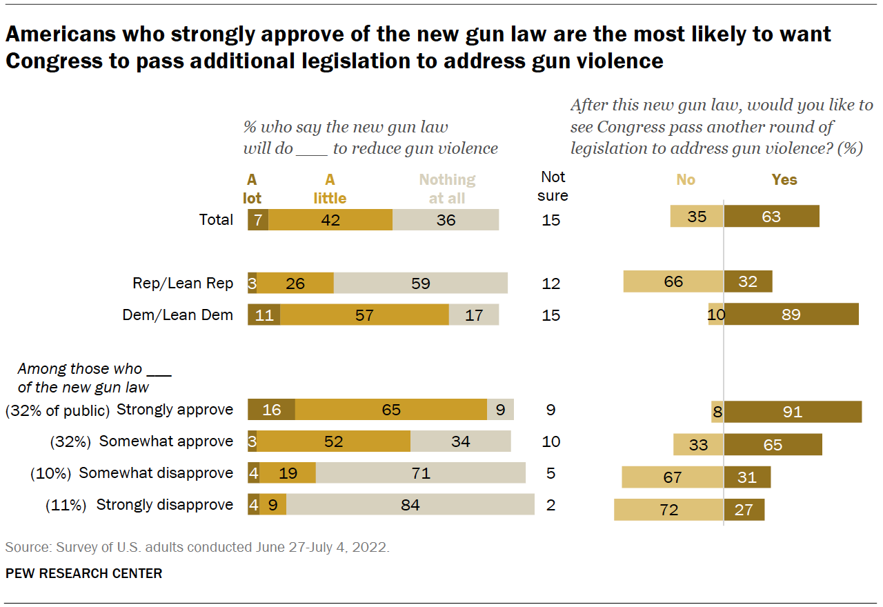 Americans Approve of New Gun Law but Few Say It Will Reduce Gun ...