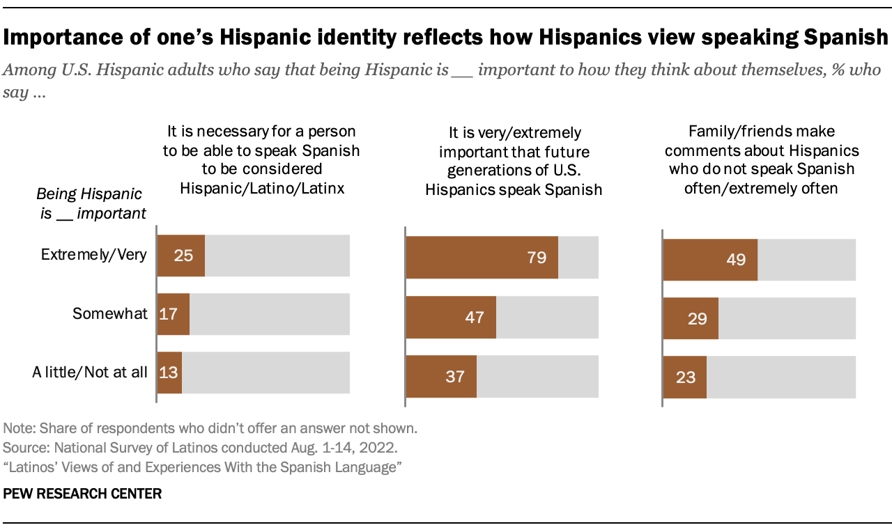 Latinos and Spanish: Views and Experience | Pew Research Center