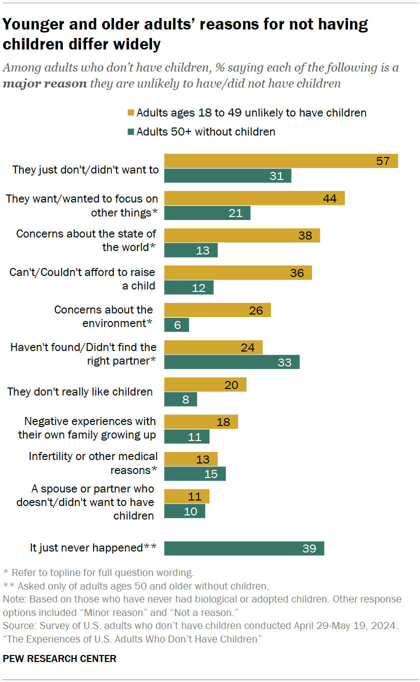 Experiences of Adults Without Kids in the US | Pew Research Center