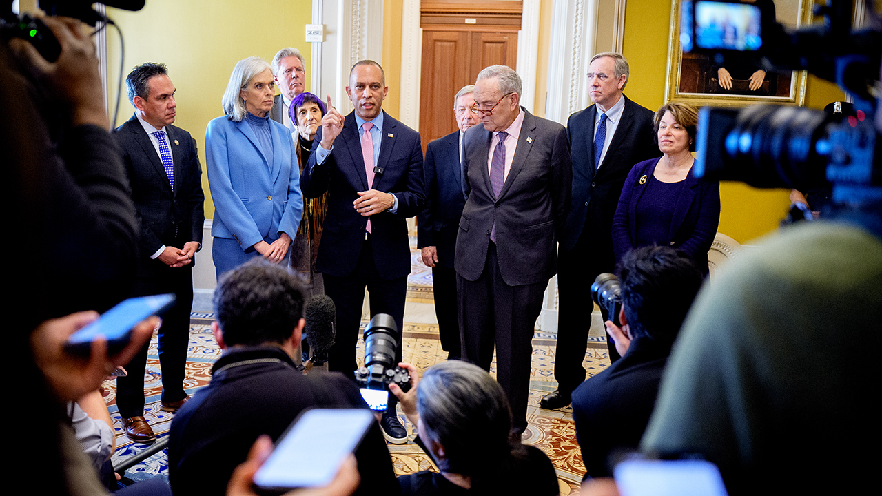 Most Democrats say their party's lawmakers aren't fighting Trump's ...