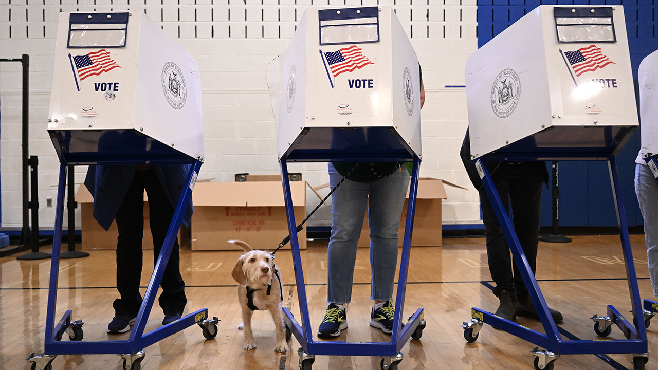 Behind Trump's 2024 Victory: Turnout, Voting Patterns and Demographics ...