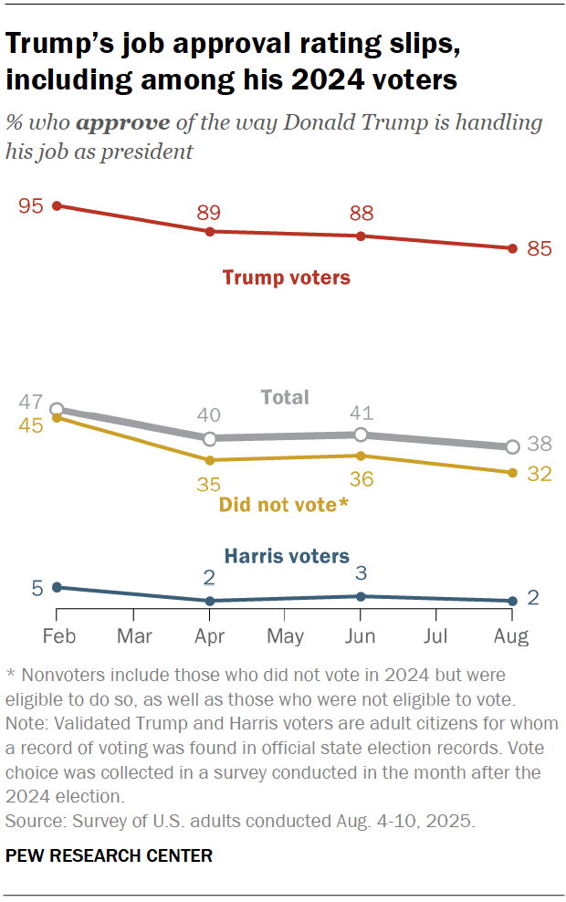 Trump's Tariffs, 'Big Beautiful Bill' Viewed Negatively as His Approval ...
