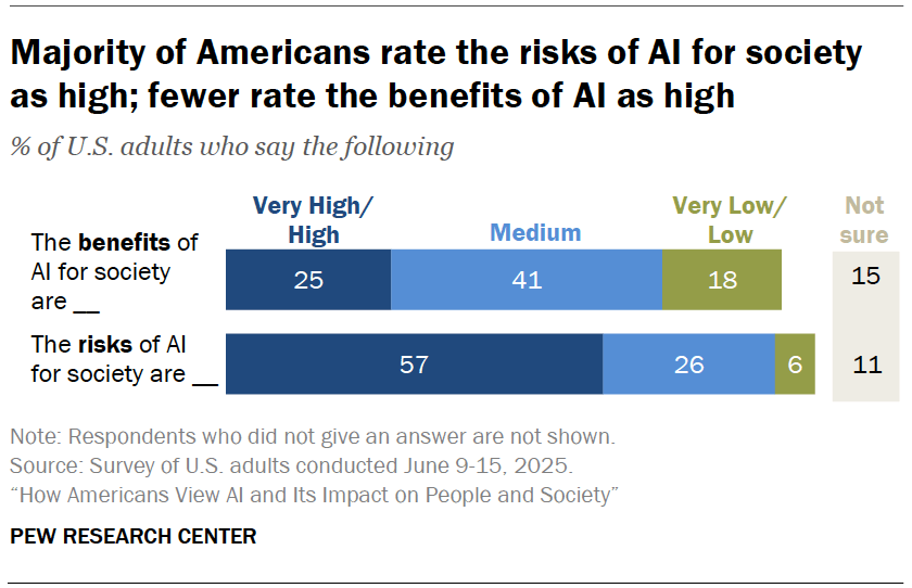 Reasons Americans see AI risks, benefits for society, in their own ...