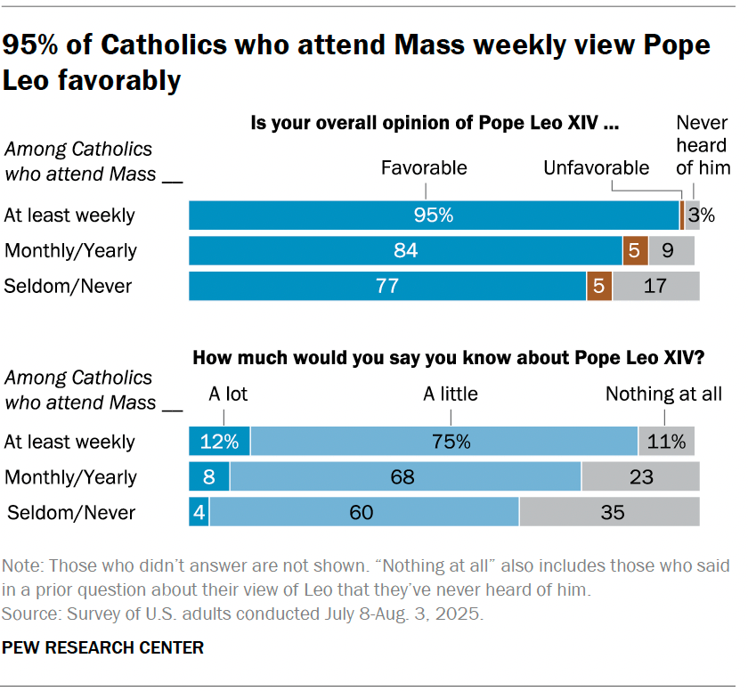 Pope Leo viewed favorably by most US Catholics early in his papacy ...