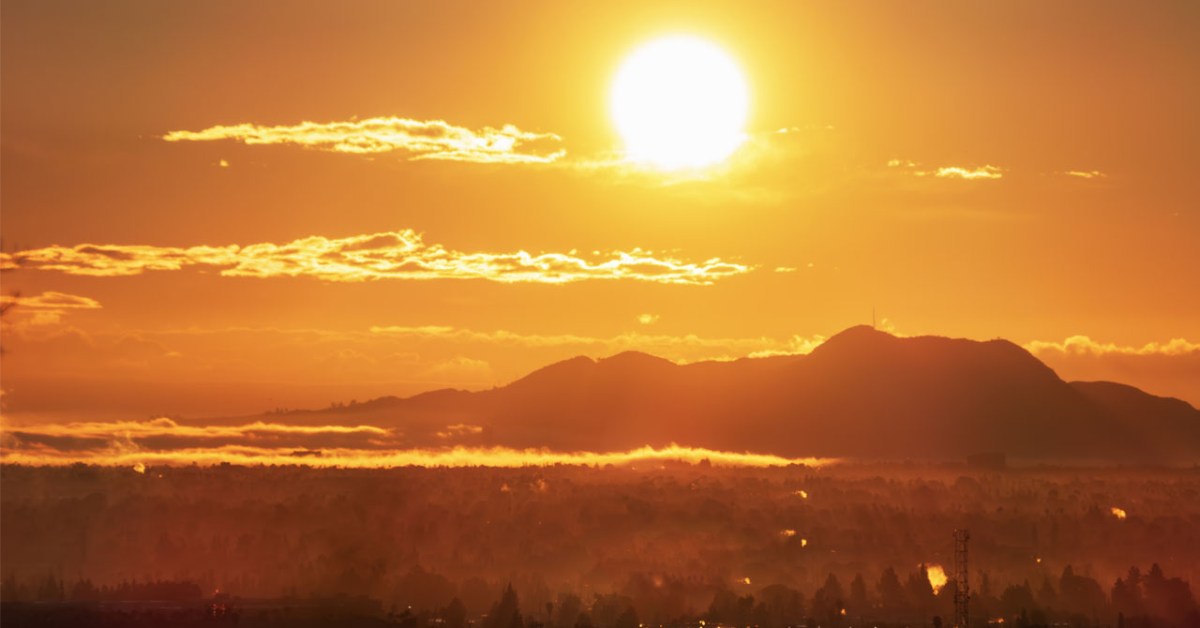 What eco-friendly actions do Americans take? | Pew Research Center