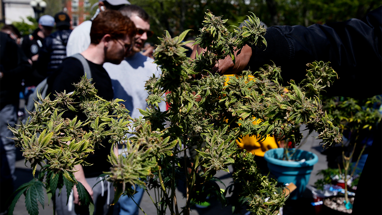Key facts about Americans and marijuana | Pew Research Center